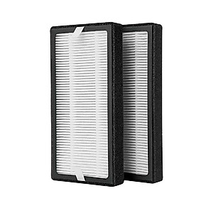 Homedics TotalClean HEPA-Type Air Purifier Filter Replacements, Works with Homedics AP- DT10 & AP- DT10WT Air Purifiers, Captures Microscopic Airborne Particles