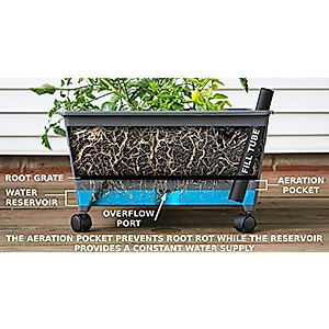 Emsco Group City Picker Raised Bed Grow Box – Self Watering and Improved Aeration – Mobile Unit with Casters - Slate