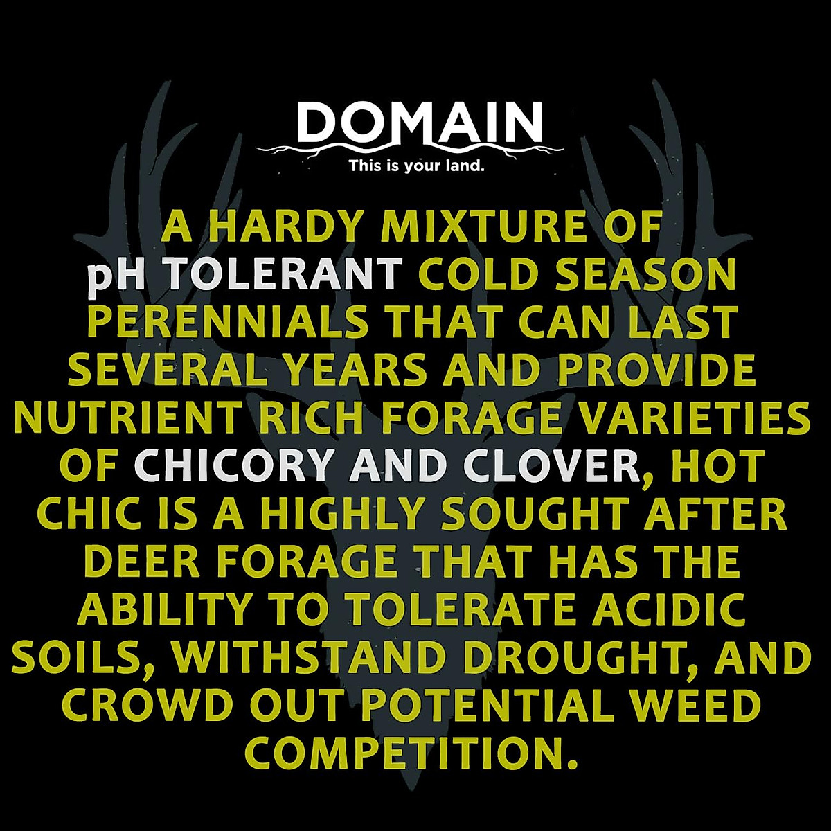 Domain Outdoor Hot Chic Food Plot Seeds for Deer, Chicory - 2 Varieties of Clover, Great to Plant in Spring or Fall, Hardy Mixture of PH Tolerant Perennials, Can Last Several Years, 1/2 Acre