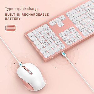 Wireless Keyboard and Mouse Combo with Backlit, Seenda Illuminated Rechargeable Full-Size Keyboard and Mouse for Windows Computer Laptop Desktop (Rose Gold)