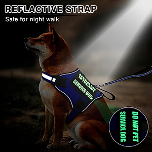 MOOGROU Service Dog Vest Harness and Leash Set+10 Patches,No Pull&Easy Walk Reflective Dog Harness with Soft Padded Handle for Training/Everyday,Fit Small/Medium/Large/Extra-Large Dogs (Blue M)