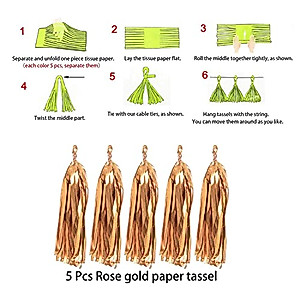 Rose Gold Birthday Party Background Decoration&Balloons Arch Kit,Crown,Rose Gold Happy Birthday Banner,Fringe Curtain,Balloon gift box,Sweet 16 18th 21st 30th Birthday for Women Girls
