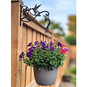 Mkono Hanging Plant Bracket Hook Iron Decorative Plant Hanger for Flower Basket Bird Feeder Wind Chime Lanterns, 2 Pack