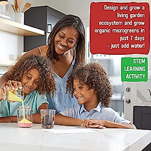 Back to the Roots Organic Kids Terrarium Grow Kit - Easy-to-Use DIY Set for All Ages Small