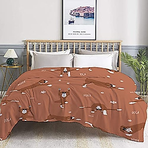 RICKYOUNG Boxer Dog Cute Fleece Flannel Lightweight Blankets Quilt Plush Soft Bedding Throw Blanket for Couch and Bed 40"x30" (Toddler) for Pet