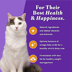 Halo Holistic Indoor Cat Food Dry, Grain Free Cage-free Chicken Recipe for healthy weight support, Complete Digestive Health, Dry Cat Food Bag, Adult Formula, 3-lb Bag