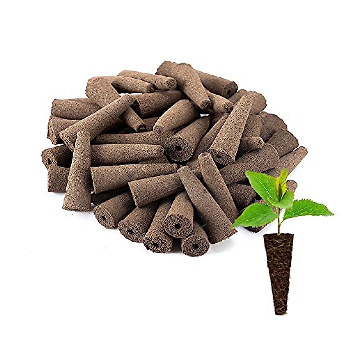 Aooccder Seed Starter Grow Sponges for Aerogarden, PH-Balanced Refill-Seed Pods Replacements for Indoor Hydroponic System,50 Pack, Brown