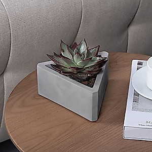 MyGift Unglazed Gray Cement Planter Pot with Drainage Hole and Plastic Plug, Indoor Mini Triangle Shaped Cactus Succulent Planter Poter
