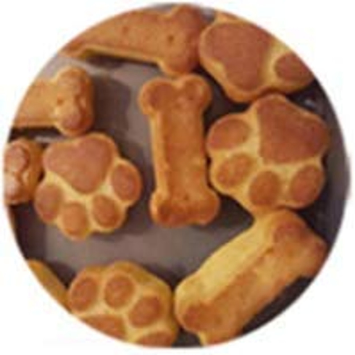 Stainless Steel Metal Dog Bone Shape Cookie Cutter Set, Treats and Crafts