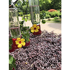VIMOA Mini Hummingbird Feeder 4 Pack Small Hummingbird Feeders for Outdoor 2.3oz