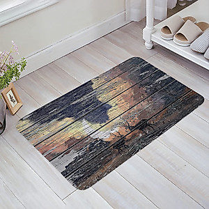 Front Door Mat Floor Mats for Home Decor, Wood Grain Deer Memory Foam Runner Entryway Area Rug Non-Slip Absorbent Doormat Washable Rug, 18x30Inch Welcome Mats for Bedroom Decor Living Room Decor