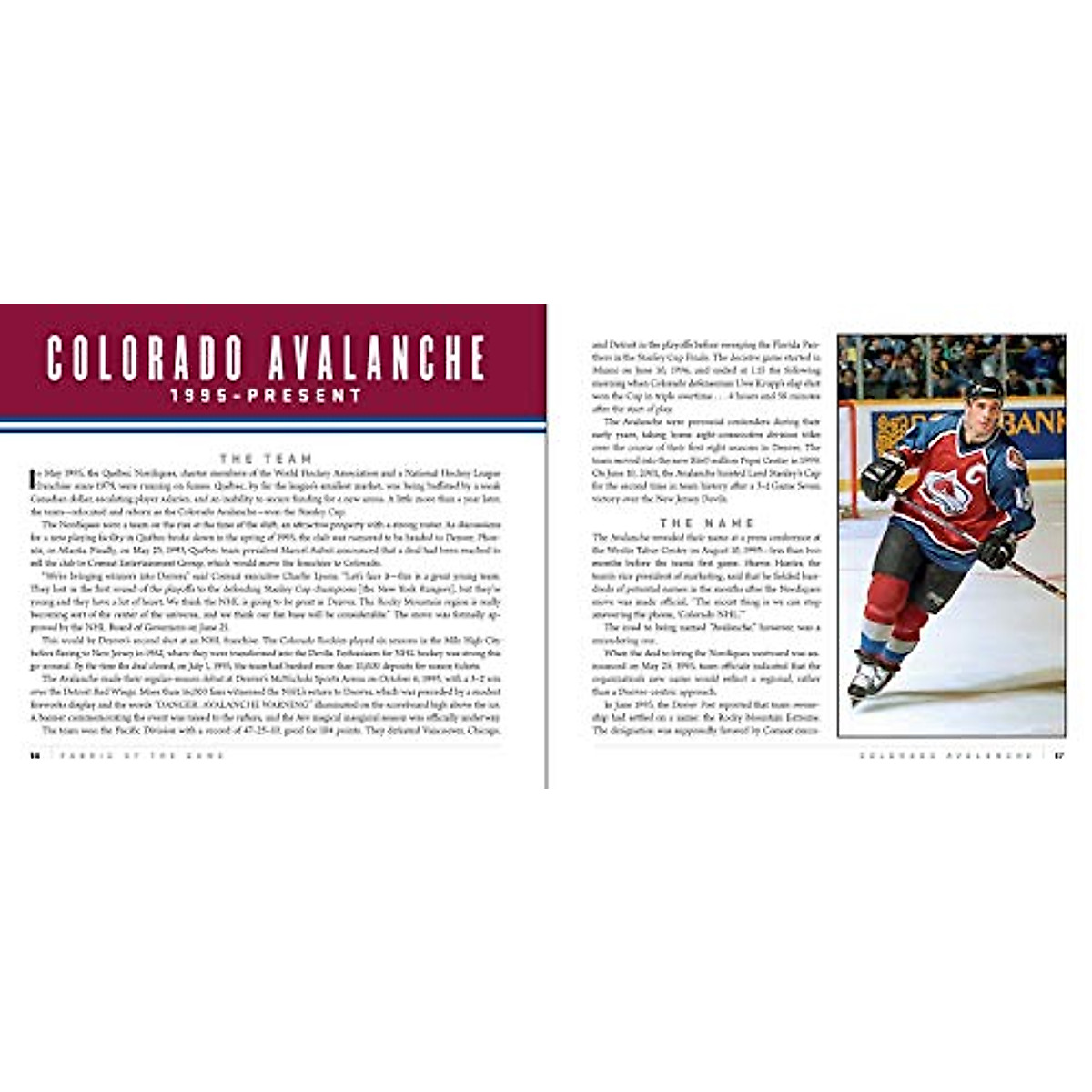 Fabric of the Game: The Stories Behind the NHL's Names, Logos, and Uniforms