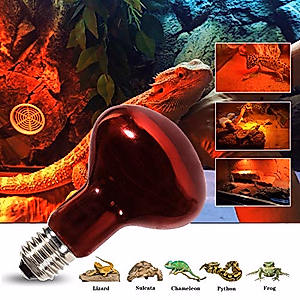 MCLANZOO 2 PCS 75W Reptile Heat Lamp Bulb Infrared Basking Light for Reptiles & Bearded Dragon Amphibian with Stick-on Digital Temperature Thermometer