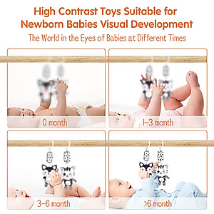 Cute Hanging Stroller Car Seat Toys for Baby, C Clip Hanging Animal Soft Toys with Rattles BB Squeaker Distorting Mirror for Boys Girls 0-36 Months (Black-White)