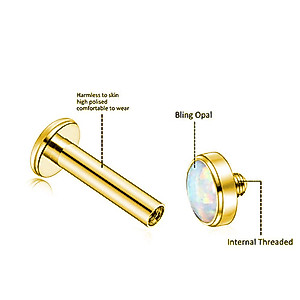 Gnoliew 16G 316L Stainless Steel Labret Monroe Lip Ring Studs Cartilage Helix Tragus Nose Piercing (A2,8mm(16G))