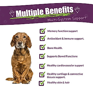 Amber NaturalZ Carticil Plus Herbal Supplement for Dogs | Multi System Support is a Blend for Digestive, Respiratory, and Cardiovascular Health | 60-Day Medium Dog Supply | Manufactured in The USA