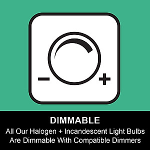 TAIYALOO G8 Halogen Light Bulbs 20W Dimmable 120V G8 Base 2Pin Xenon Bulb (12 Pack) T4 JCD Type Warm White Under Cabinet Puck Lighting Replacements