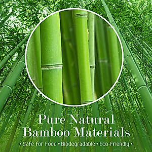 Minisland Premium 4.7 Inch Square Small Mini Bamboo Paddle Skewers for Appetizers Fruit Kabobs Sandwiches Cocktail Party Finger Food Sticks 3mm Thick 100 Counts -MSL162