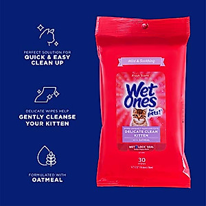 Wet Ones for Pets Delicate Clean Kitten Wipes for Cats with Oatmeal Cat Cleaning Wipes, Mild & Soothing Cat Grooming Wipes with Wet Lock Seal (Pack of 1, 30 Count Total)