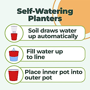 Window Garden Sow Much Fun Seed Startining Kit for Kig, Vegetable Planting and Growds, 3 Self Watering Planters, Soil, Seeds and Puffy Stickers. No Mess, Easy (Cucumber)