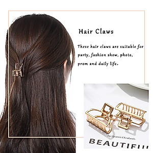 Brinie Hair Claw Gold Hair Clips Mini Non Slip Claw Clips Hair Accessories Daily Party Gift for Women and Girls (2 PCS)