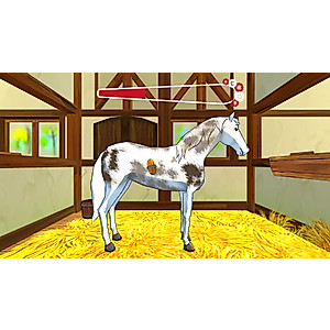 Bibi & Tina: Adventures with Horses (PS4)