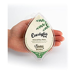 Shortie's Candle Company Eucalyptus Leaf Natural Soy Wax Melts - 1 Highly Scented 3 Oz. Bar - Made with 100% Soy and Essential Fragrance Oils - Phthalate & Paraffin Free, Vegan, Non-Toxic