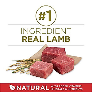 Purina ONE Natural Dry Dog Food, SmartBlend Lamb & Rice Formula - 40 lb. Bag