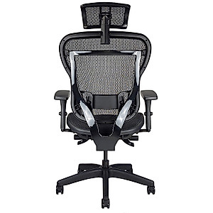 Oak Hollow Furniture Aloria Series Office Chair Ergonomic Executive Computer Chair Mesh Seat and Backrest, Adjustable and Comfortable, Lumbar Support Swivel and Tilt (Headrest, Black)