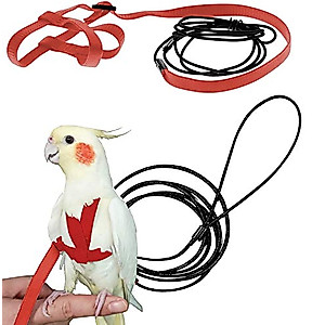 SZSJBK Bird Harness, Adjustable Parrot Nylon Leash with Anti-bite Design for Outdoor Activities Training, Suitable for Eastern Bluebonnet Parrot, Cockatoo, Parakeet, Doves 6.2ft (S)