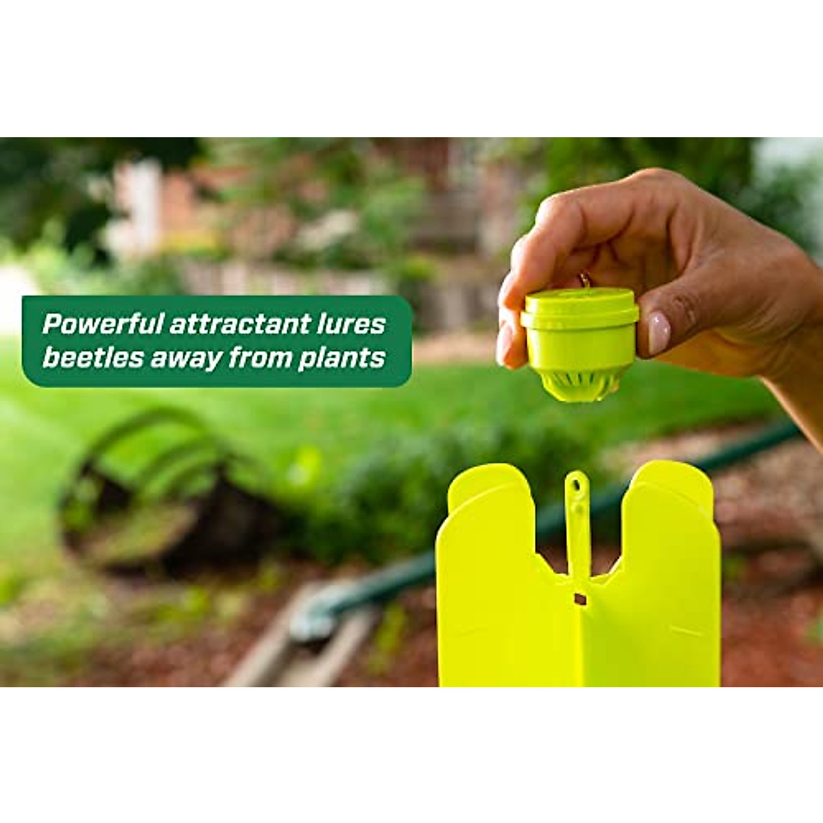 RESCUE! Japanese Beetle Trap – Reusable Bag - 3 Traps