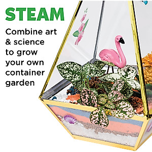 Creativity for Kids Tropical Terrarium Craft Kit - Kids Terrarium Kit for Ages 7+, STEAM Activity
