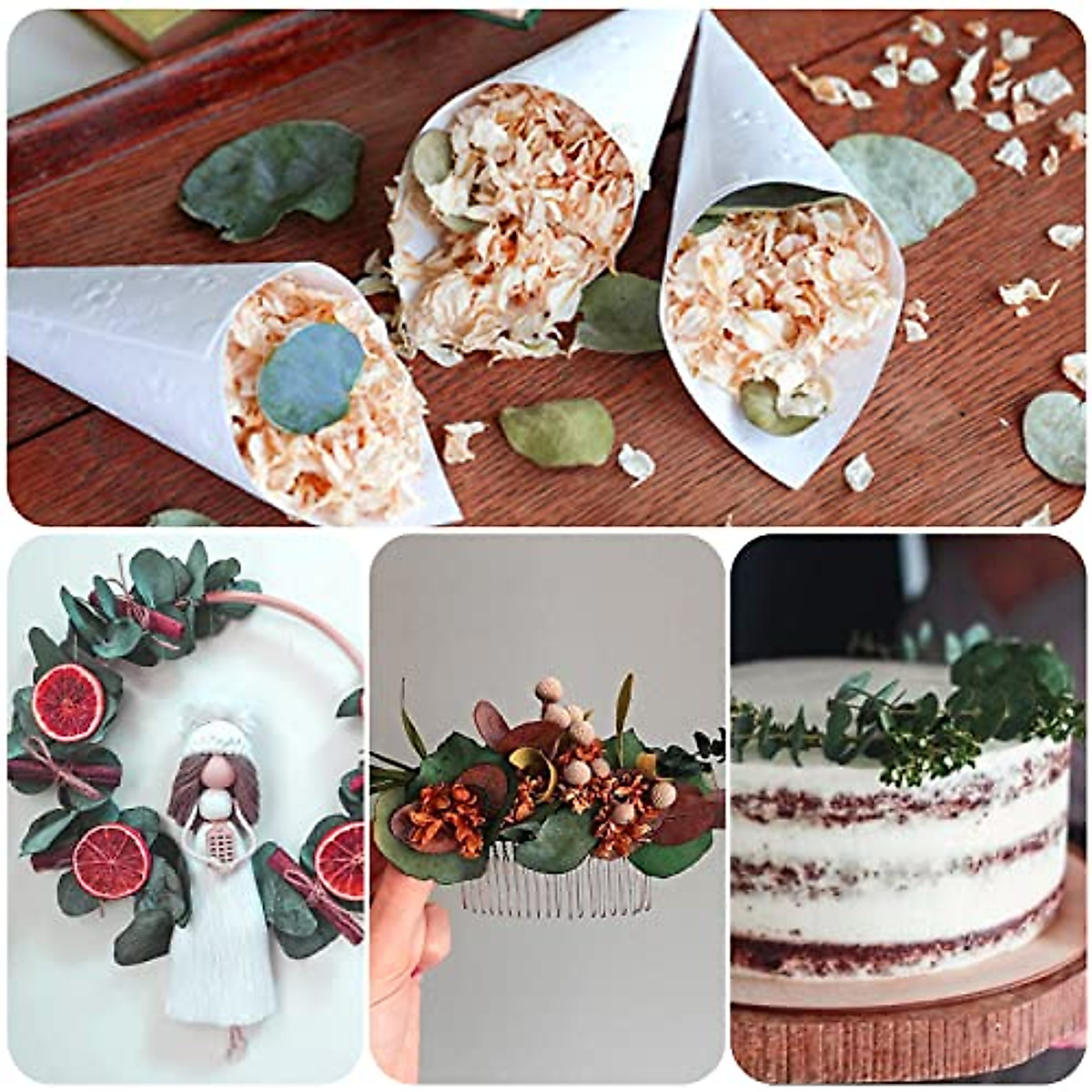 1600+ Small Preserved Real Eucalyptus Leaves, 100% Natural Bulk Eucalyptus, Biodegradable Wedding Leaves Confetti for Anniversaries, Birthday, Graduation, Bridal Showers, Baby Shower Party Decor