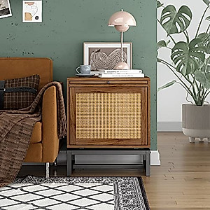 SeokIljin Natural Rattan Door Nightstand,with 1 Rattan Door Drawer,Rustic Bedside Table Cabinet Accent Table with Sturdy Metal Leg for Living Room,Bedroom