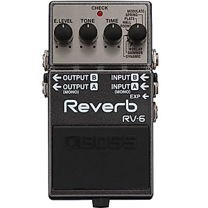 Boss RV-6 Digital Reverb Bundle w/Boss PSA-120S2 Power Supply