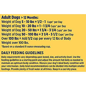 Nature′s Recipe Chicken, Barley & Brown Rice Recipe Dry Dog Food, 24 lb. Bag