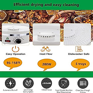 Bestfrog Food Dehydrator Machine Dehydrators For Food And Jerky 5 Trays Adjustable Temperature Control Multi-Funtional Dryer For Preserve Jerky, Fruits, Vegetables, Meat, Herbs, Flowers, Dog Treats