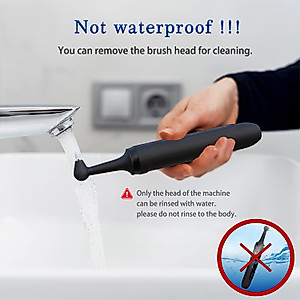 Akizbeir Electric Tooth Polisher, with 5 Replacement Heads, 2000mAh-Charging Model, Household Dental Tartar Calculus Remover Teeth Whitening Cleaning Kit for People and Pet Dog（Black）