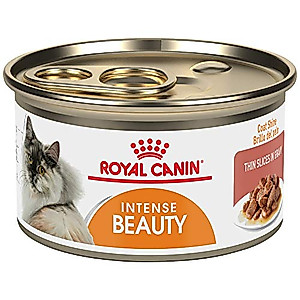 Royal Canin Feline Care Nutrition Intense Beauty Thin Slices in Gravy Canned Cat Food, 3 oz cans 24-count