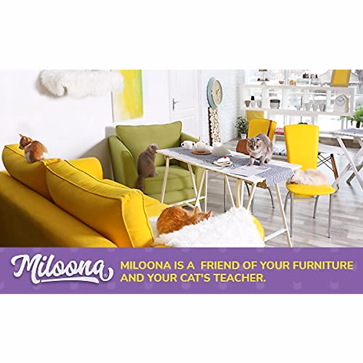 Cat Anti Scratch Furniture/Couch Protector from Cats Scratching - Couch Scratch Protector - Cat Training Tape - Scratch Guard