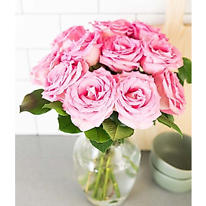 From You Flowers - One Dozen Light Pink Roses with Glass Vase (Fresh Flowers) Birthday, Anniversary, Get Well, Sympathy, Congratulations, Thank You
