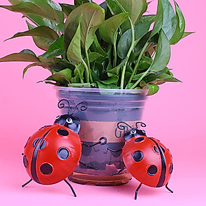 IMIKEYA 4pcs Wrought Iron Lawn Ladybug Simulation Ladybug Simulated Ladybug Garden Ladybug Iron Art Ladybug Iron Ladybug Yard Ladybug Decoration Ladybug Model Ladybug Decorations