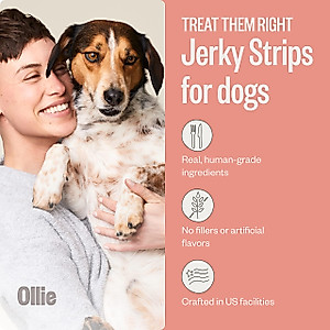 Ollie Beef and Sweet Potato Jerky Recipe Dog Treats - Dog Jerky Treats All Natural - Healthy Dog Treats - Beef Jerky for Dogs - Real Meat Dog Treats 5 Oz.
