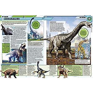 Guinness World Records 2019