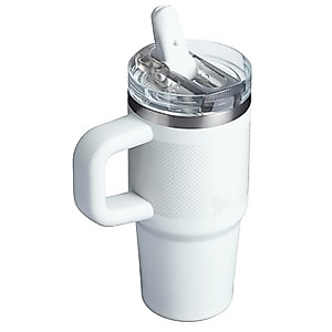 Stanley Quencher ProTour Flip Straw Tumbler with Leakproof Lid 14 oz | Built-In Straw and Handle | Cup Holder Compatible for Travel | Insulated Stainless Steel Cup | BPA-Free | Frost Fade