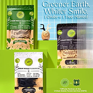 Biodegradable Dental Floss Picks - Natural Plastic Free Handle | Thin Thread Tooth Flossers for Adults & Kids | Toothpick Stick Soft on Gum & Teeth | Eco Friendly Zero Waste Vegan Organic (200, Mint)