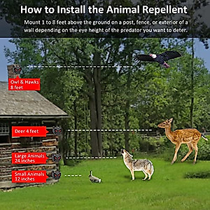 MAGIC CAT Solar Animal Repellent, Wild Animal Predator Red Eyes LED Blinking Lights, Waterproof Nocturnal Animal Repeller to Keep Skunk, Deer, Coyote, Raccoon Away from Garden Yard Farm Chicken Coop