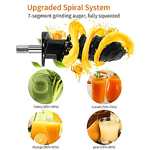 Celery Juicer Machines Easy To Clean,Electric Cold Press Juicer Extractor Leafy Greens Wheatgrass Beet,Quiet Vegetables and Fruits Juicer 250W Motor,Reverse Function,Low Speed,BPA Free,Dishwasher Safe