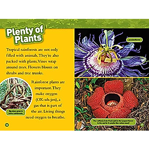 Rainforests (National Geographic Kids Readers, Level 2)
