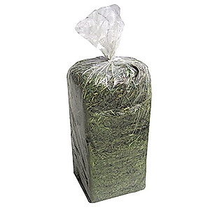 Timothy Gold Hay, 5Lb, Blue